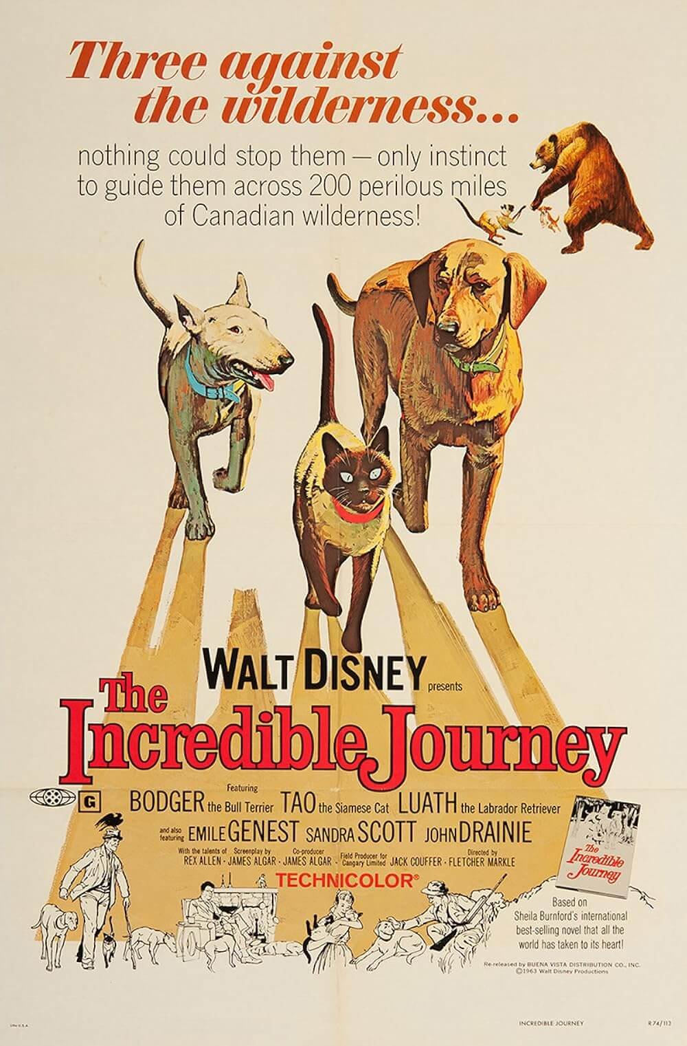 The Incredible Journey Movie (1963) - Release Date, Cast, Story, Budget ...