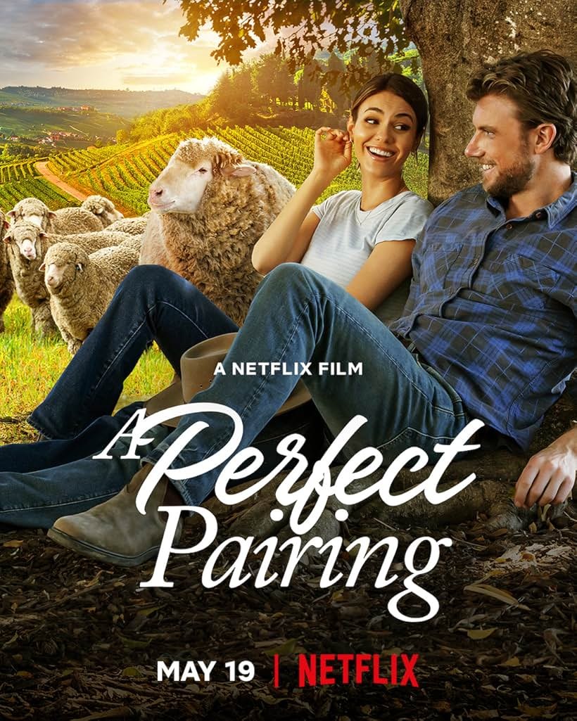 A Perfect Pairing Movie (2022) - Watch Online, Release Date, Cast, Story, Netflix, Trailer ...