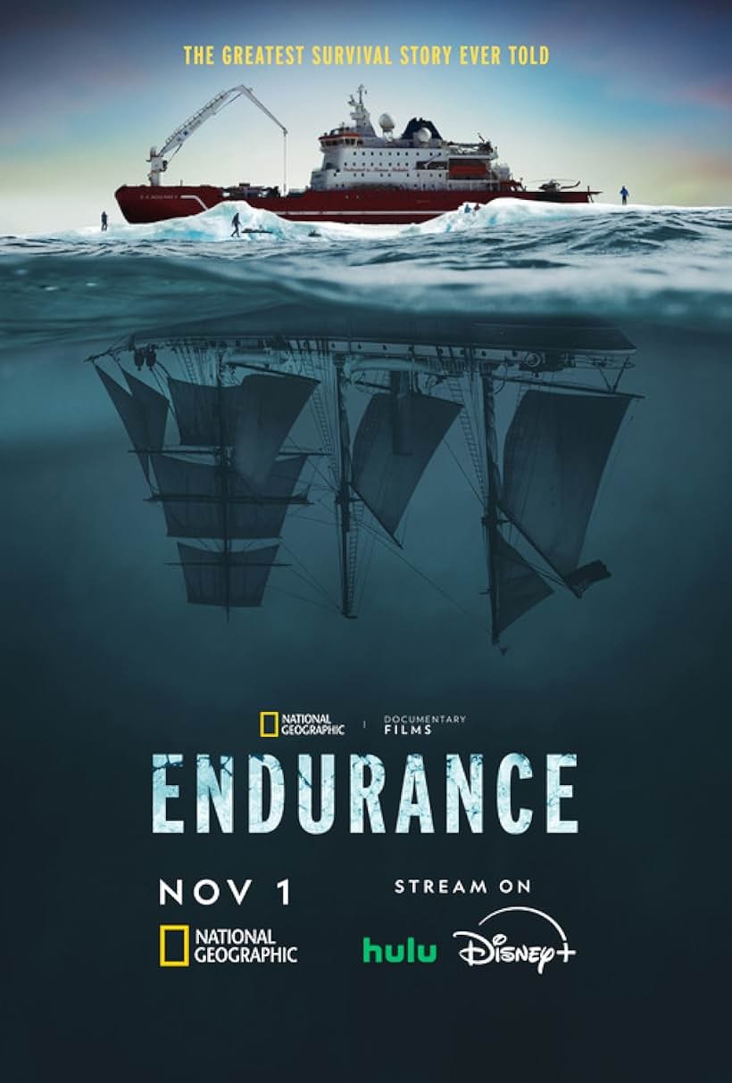 Endurance (2024) - Watch Online, Release Date, Cast, Story, Budget ...
